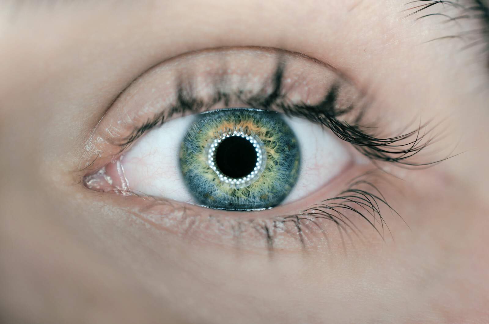Why Do Optometrists Dilate Your Eyes? | Neal Eye Group